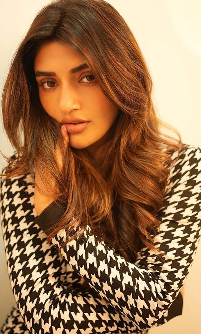 SreeLeela Glamorous Retro Looks