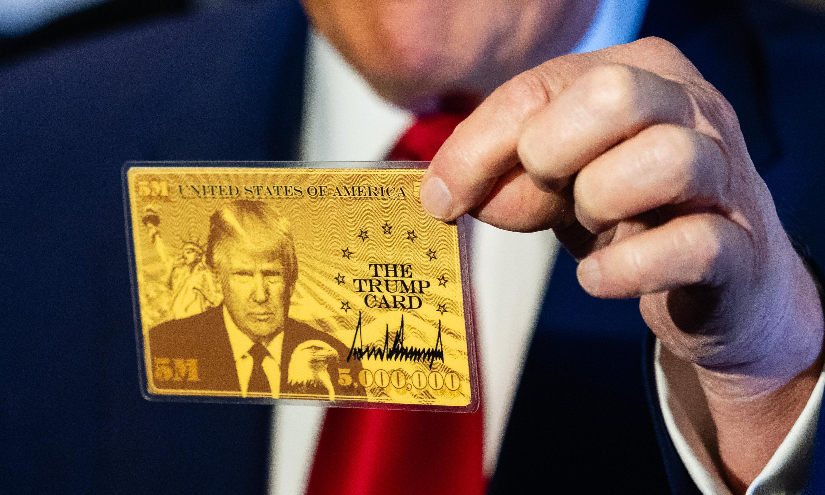 Elon Musk’s Team Eyes ‘Gold Card’ Visa Market | Trump’s Gold Card to ...