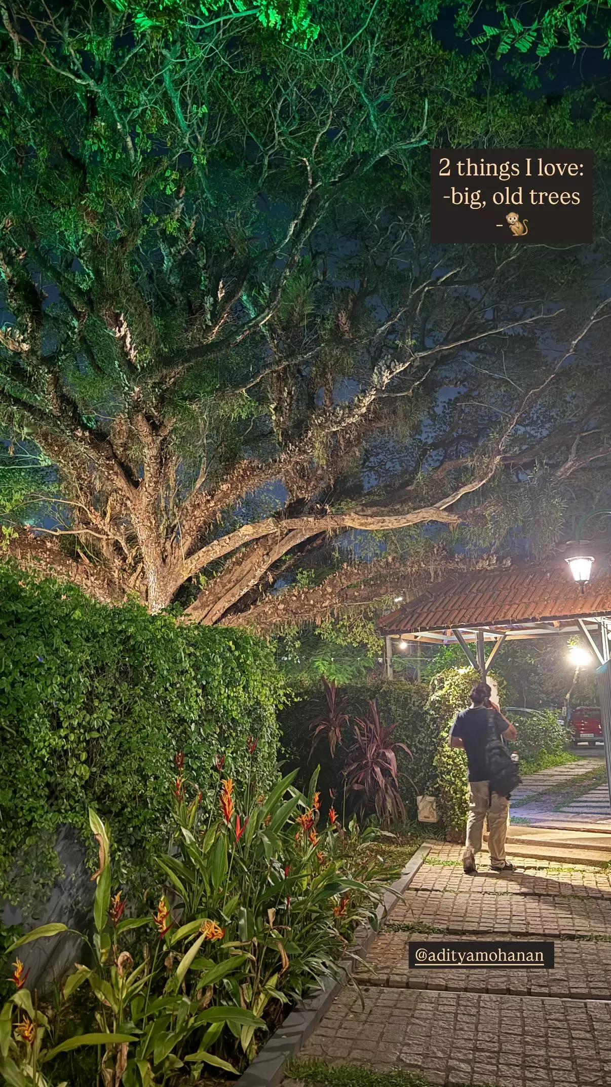 Malavika Mohanan Reveals Two Things She Loves | Malavika Mohanan ...