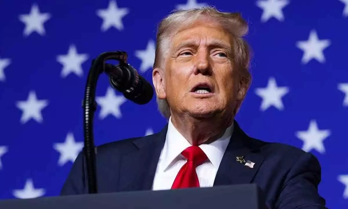 I want My Nobel Prize: Trump Memes Shake Socials! | I want My Nobel ...