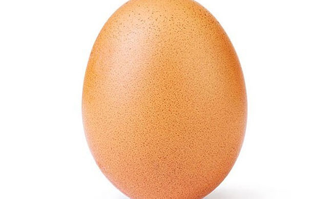 శతకోటి గుడ్లలో ఇది ఒక గుడ్డు... ఇన్‌ స్టాలో 4.9 మిలియన్ ఫాలోవర్స్ ...