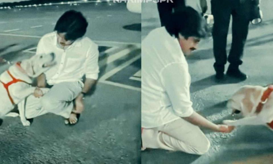 పవన్ వీడియో వైరల్.. రోడ్డుపైనే అలా.. | Pavan's video viral.. on the road..