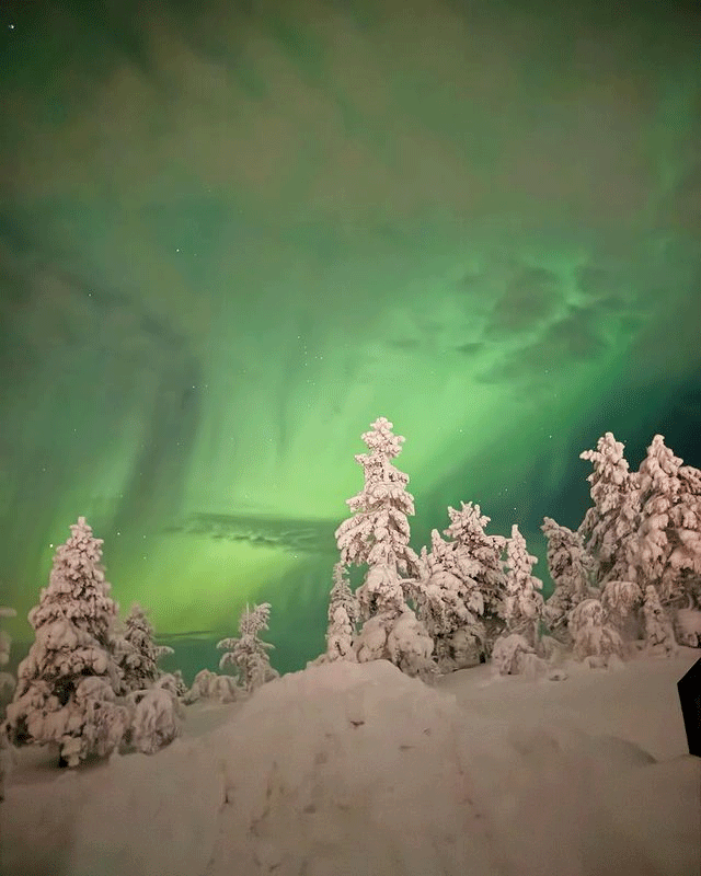 మాయావ‌నంలో 'వ‌రుణ్‌-లావ‌ణ్య‌` హ‌నీమూన్ | 'Varun-Lavanya' honeymoon in ...