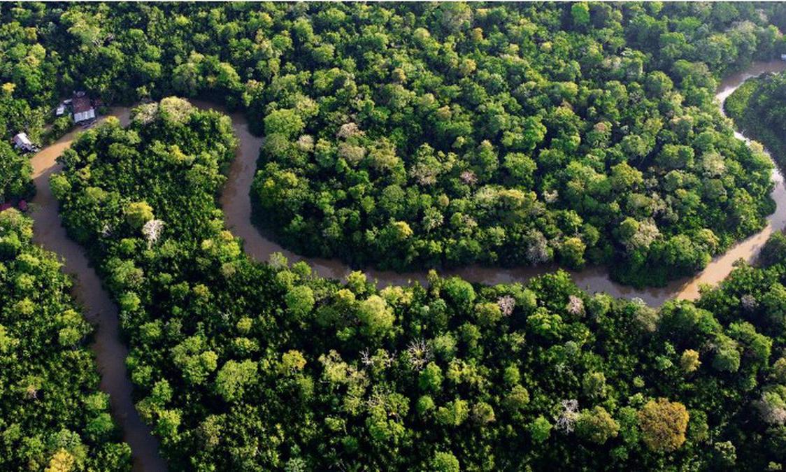 అమెజాన్‌ అడవుల్లో పురాతన నగరం... షాకింగ్ డిటైల్స్ చెప్పిన సైంటిస్ట్స్ ...