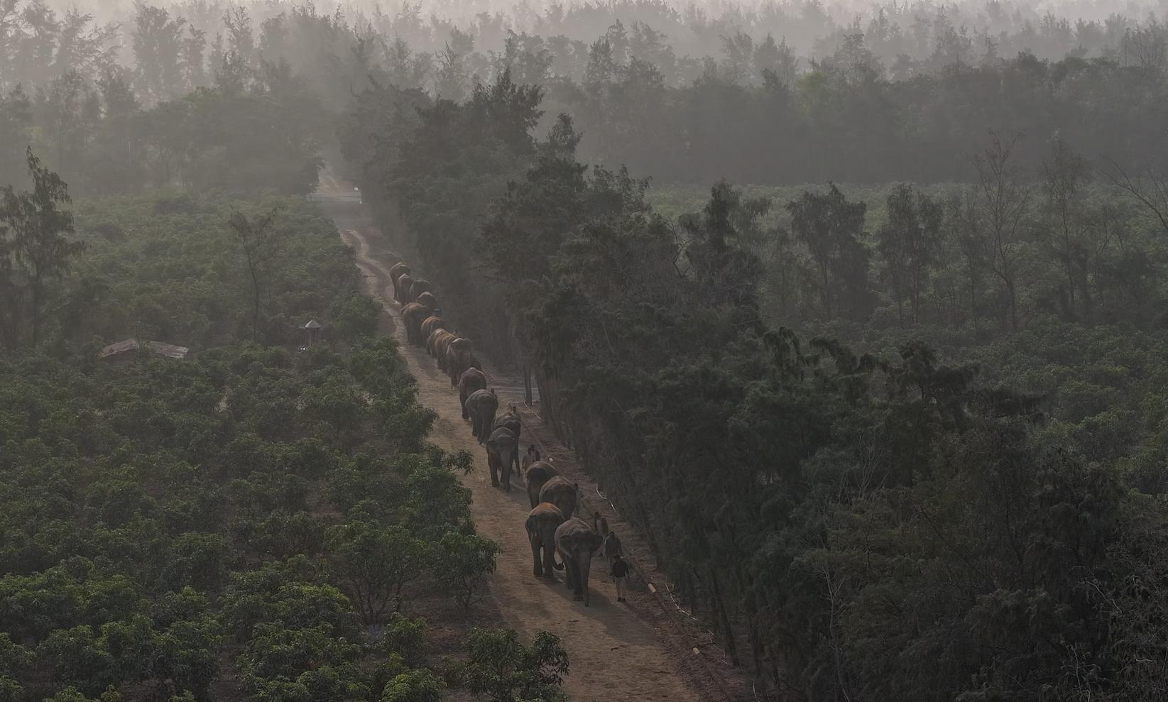 600 ఎకరాల్లో వంతారా అడవి.. ముఖేశ్ అంబానీ కొడుకు లెక్కే వేరు | Vantara ...