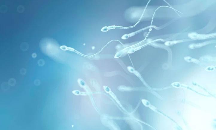 శుక్రకణాల్లో మైక్రో ప్లాస్టిక్... తెరపైకి సంచలన విషయాలు! | Micro ...