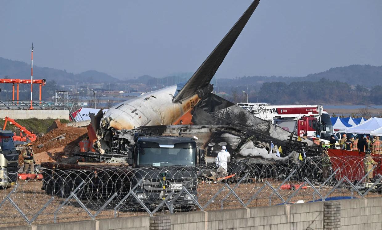 Duck DNA Discovered in Crashed South Korea Plane Engines! | Duck DNA ...