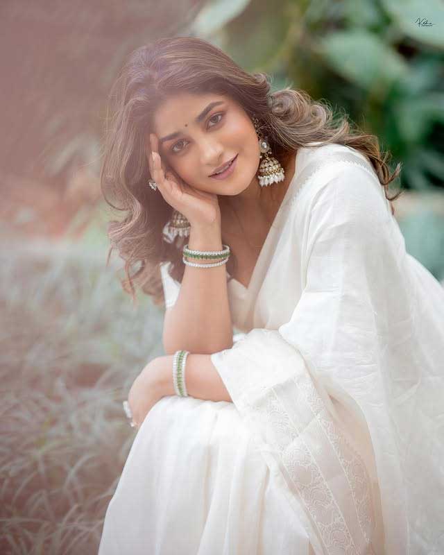 Dimple Hayathi’s Is Pure Eye Candy In THIS Saree