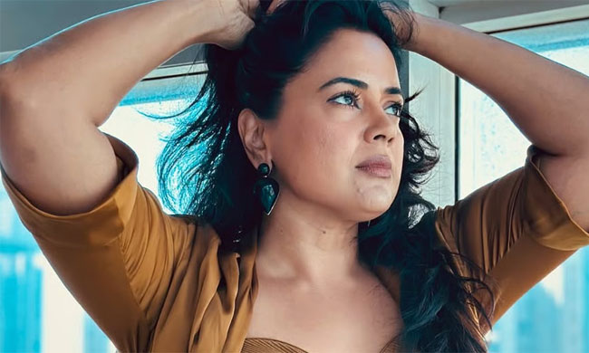 13 ఏళ్ల తర్వాత రీ ఎంట్రీకి సిద్ధమైన ఎన్టీఆర్ హీరోయిన్.. వారి బలవంతమే ...