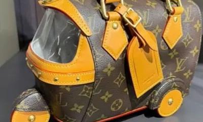 ఆటోరిక్షా హ్యాండ్ బ్యాగ్.. ఖ‌రీదు తెలిస్తే నోరెళ్ల‌బెడ‌తారు! | Louis ...