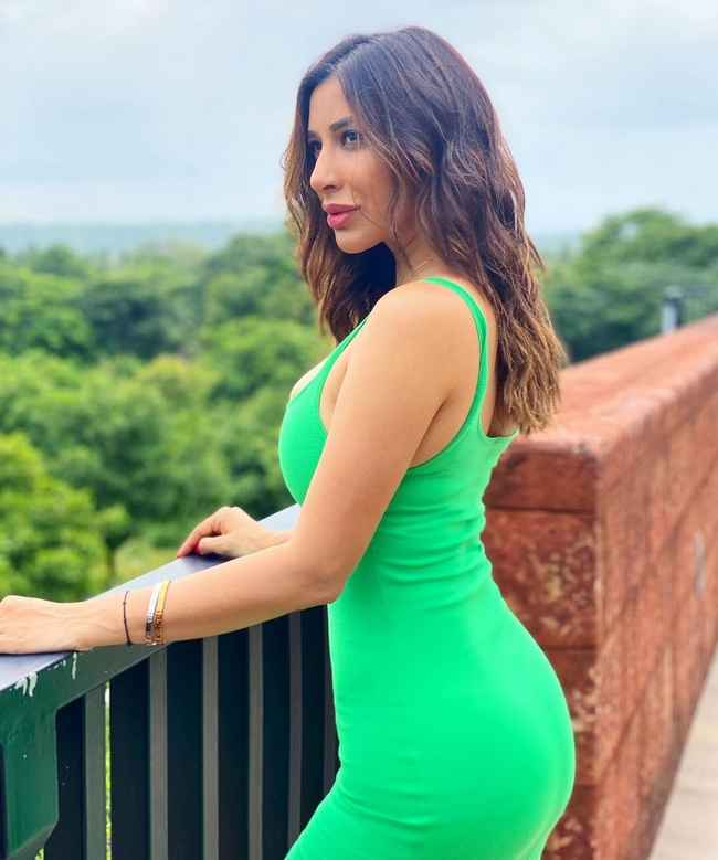 Scntllatng Looks Of Sophie Choudry