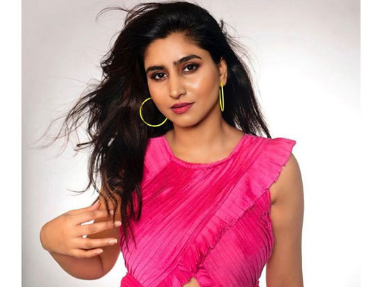 Stunning Looks Of Varshini