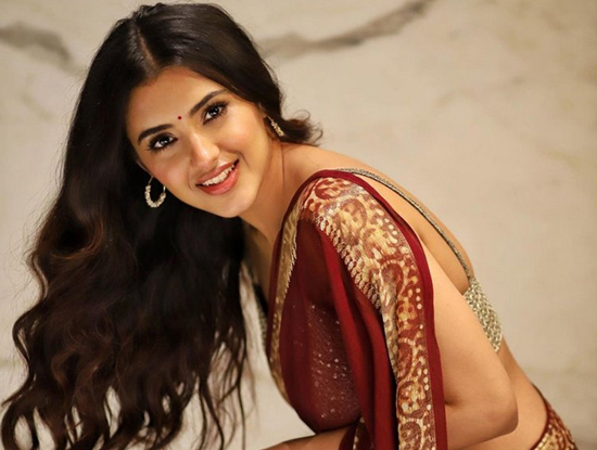 Malvika Sharma Gorgeous Clicks In A Saree