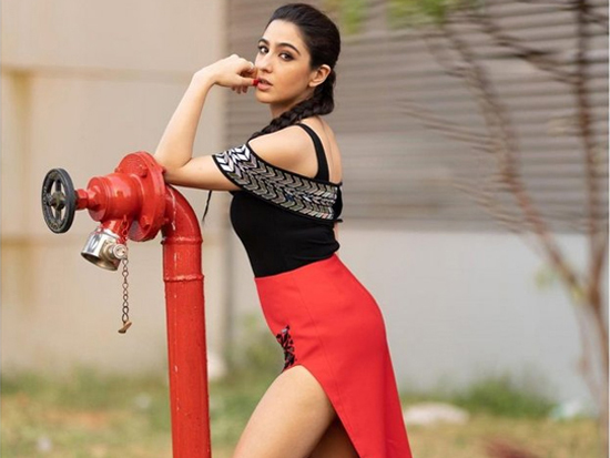 Stunning Poses Of Sara Ali Khan