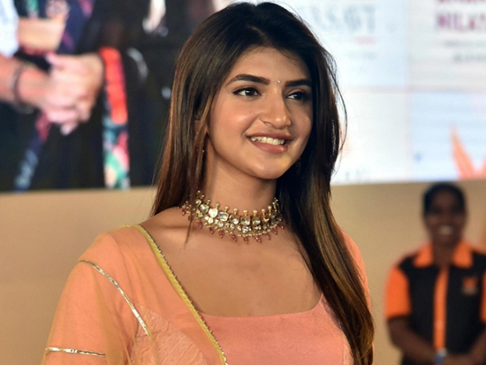 Beautiful Looks Of Sreeleela