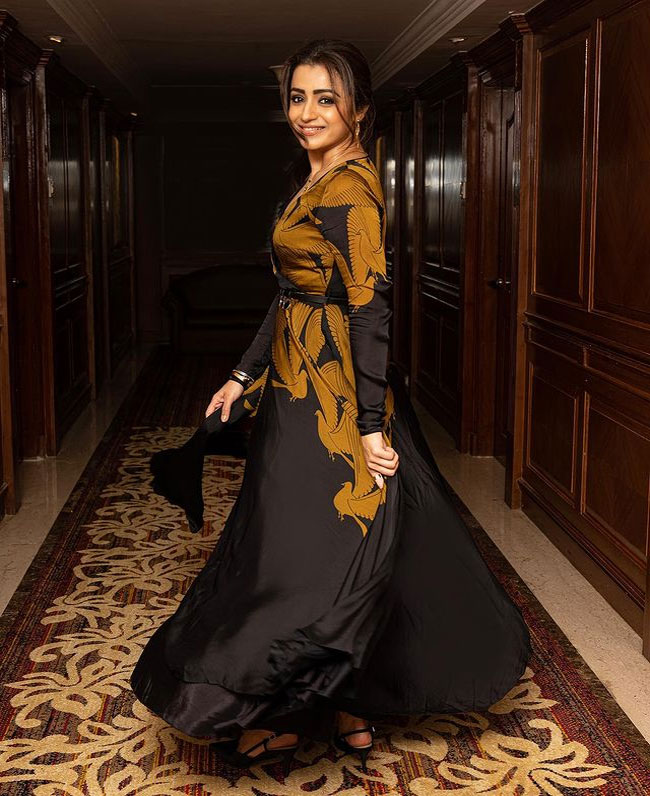 Gorgeous Looks Of Trisha Krishnan In Saree