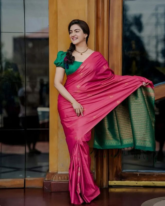 Gorgeous Looks Of Honey Rose In Saree
