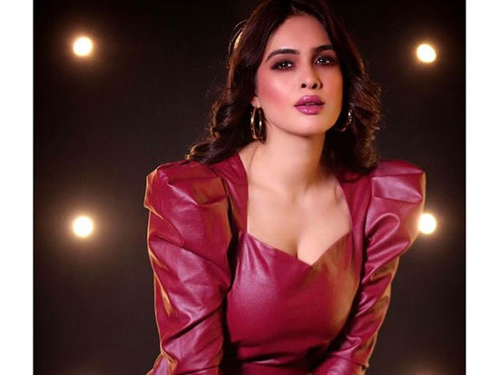 Enticing Poses From Neha Malik